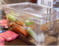 Cook Chill Production Consulting